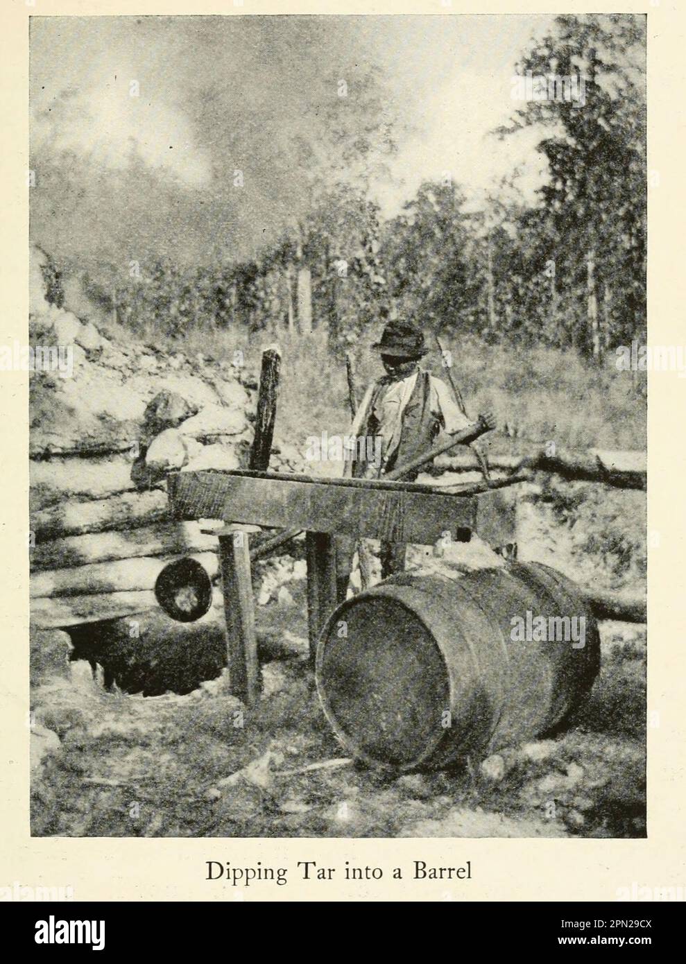 Dipping Tar into a Barrel Pine tar has a long history as a wood ...