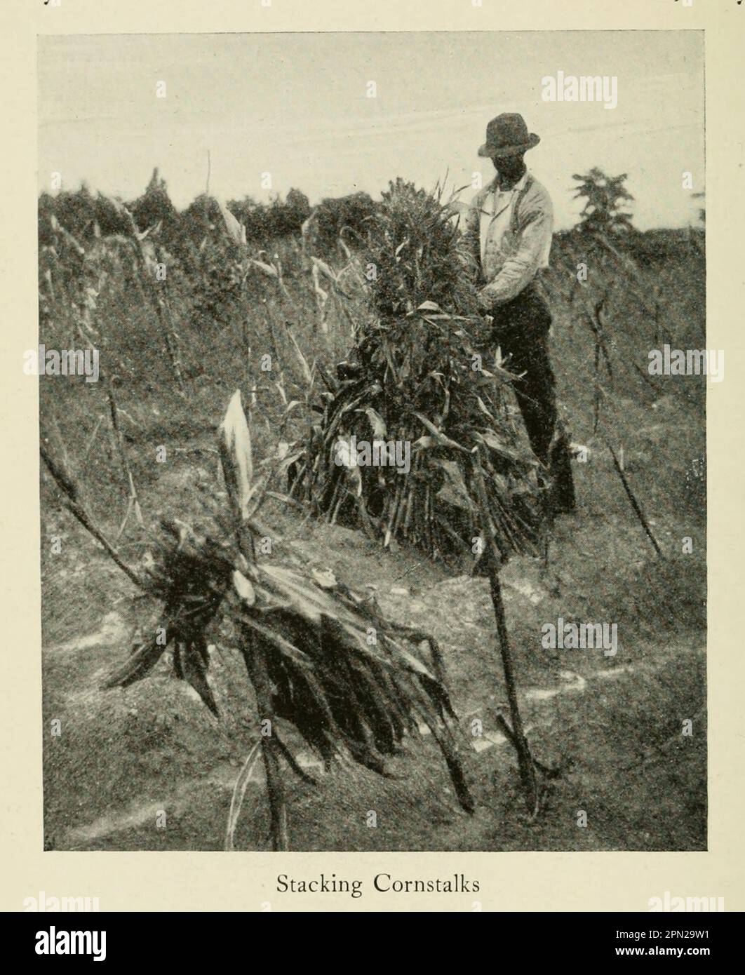 Poor stacking hi-res stock photography and images - Alamy