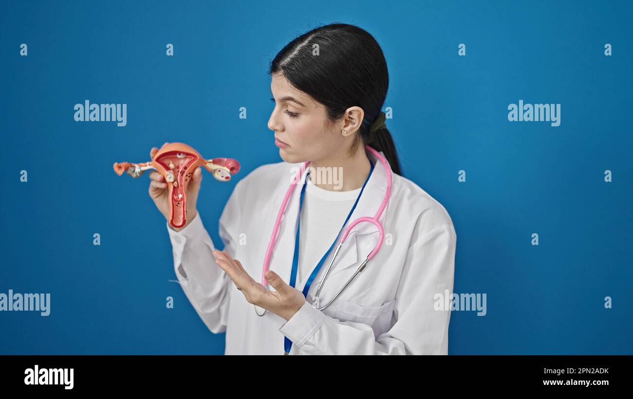 Young beautiful hispanic woman gynecologist holding anatomical model of ...