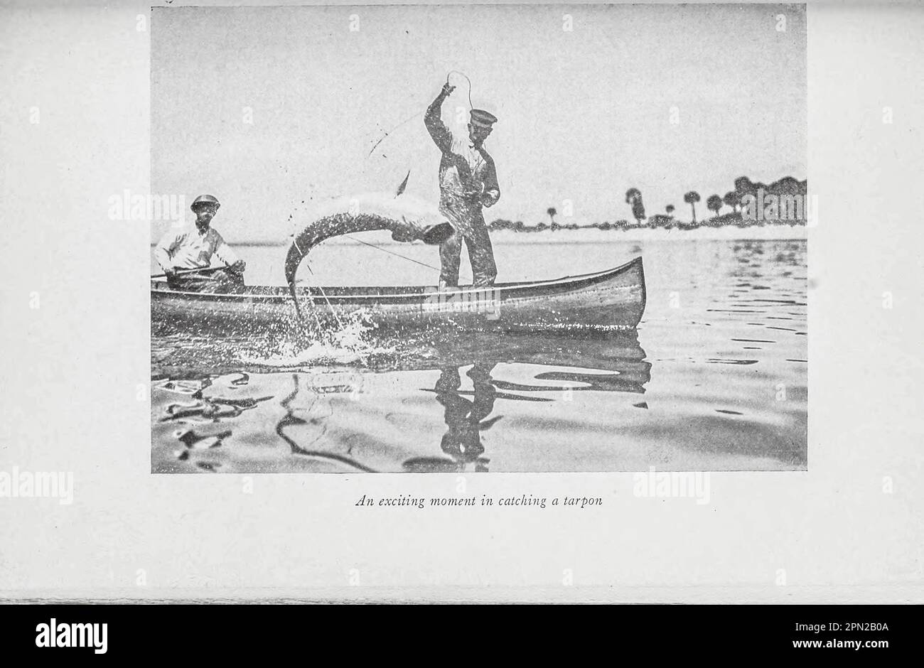 An Exciting Moment in Catching a Tarpon from the book ' Highways and ...