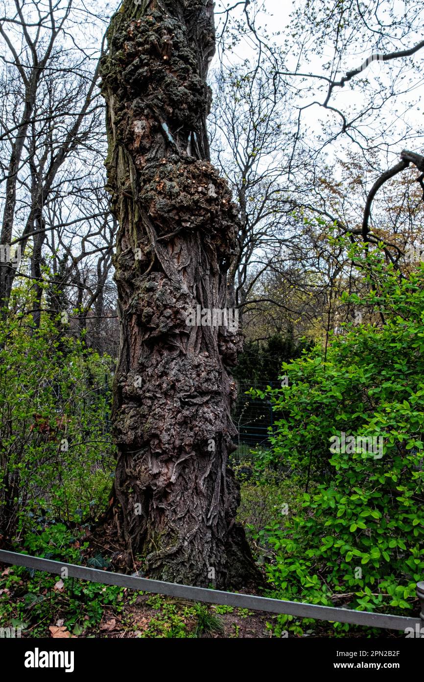 Kreuzberg locality hi-res stock photography and images - Alamy