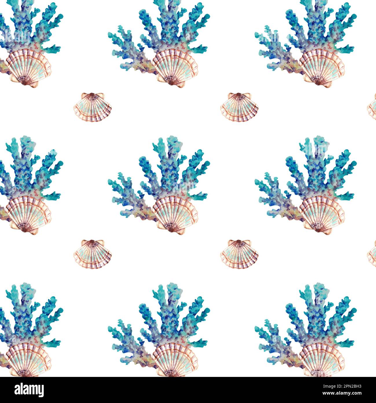 Seashell illustration botanical hi-res stock photography and images - Alamy