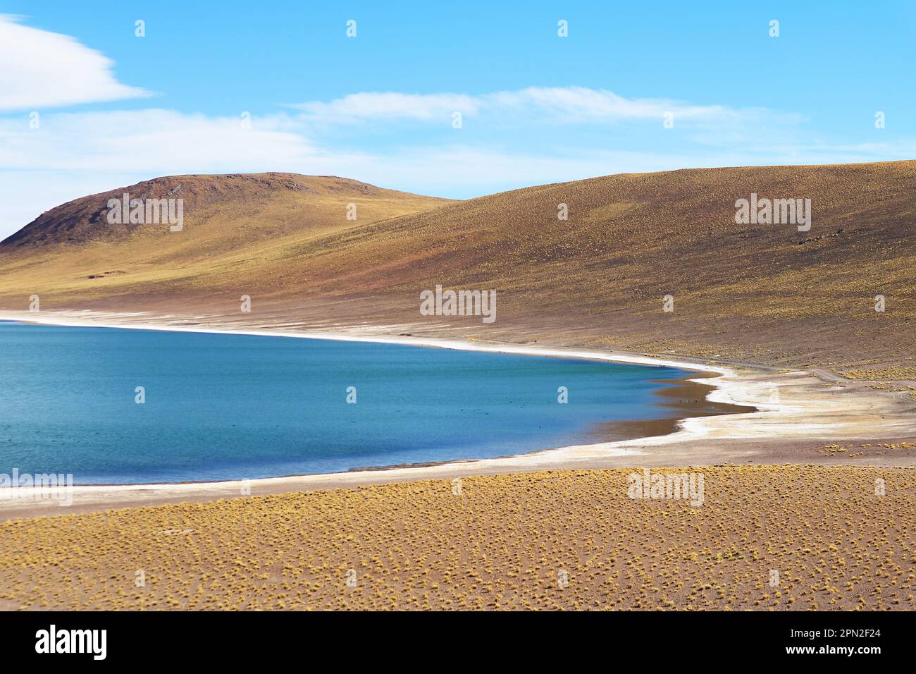 Amazing deep blue lagoon of Laguna Miniques, located in the altiplano ...