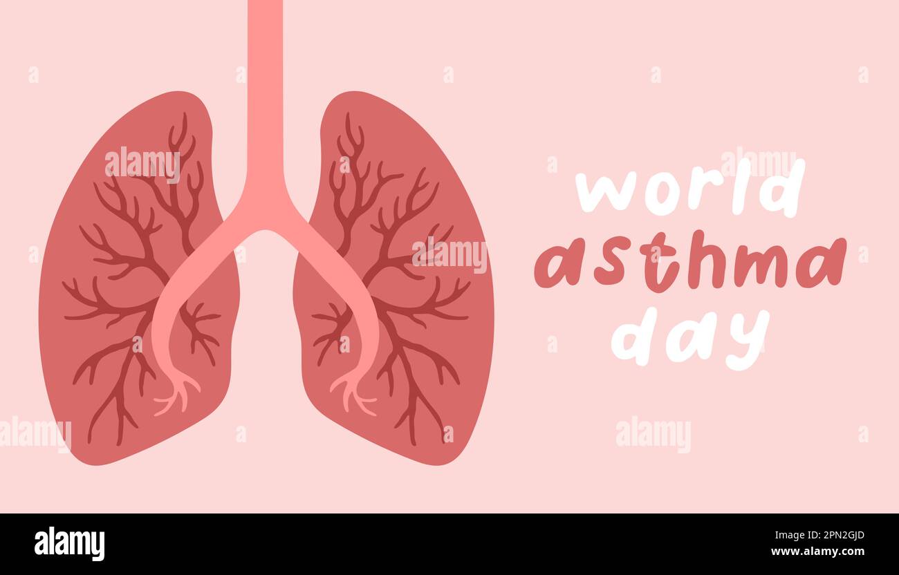 World Asthma Day awareness poster with healthy lungs. Vector ...