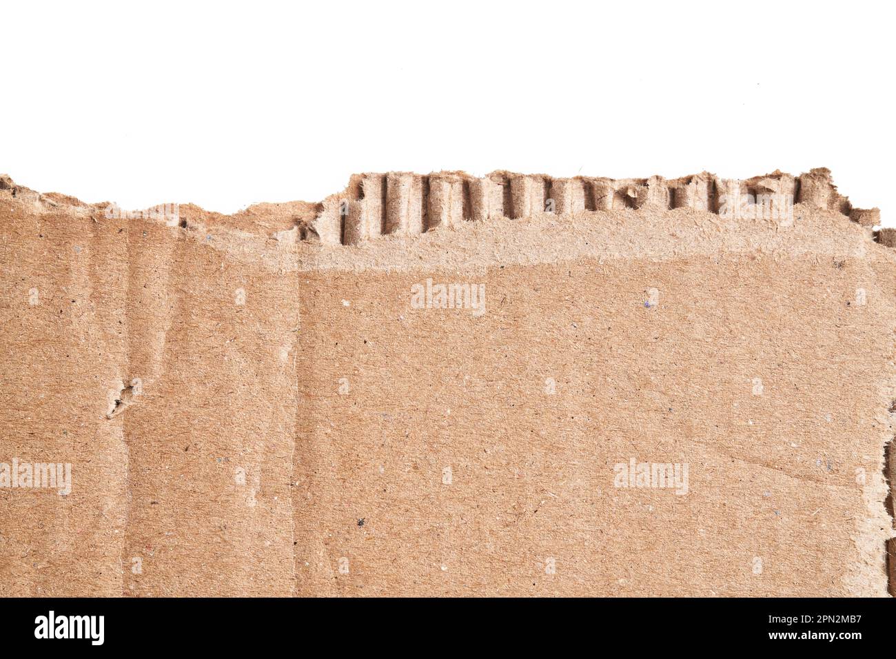 One ripped piece of cardboard material over isolated white background ...