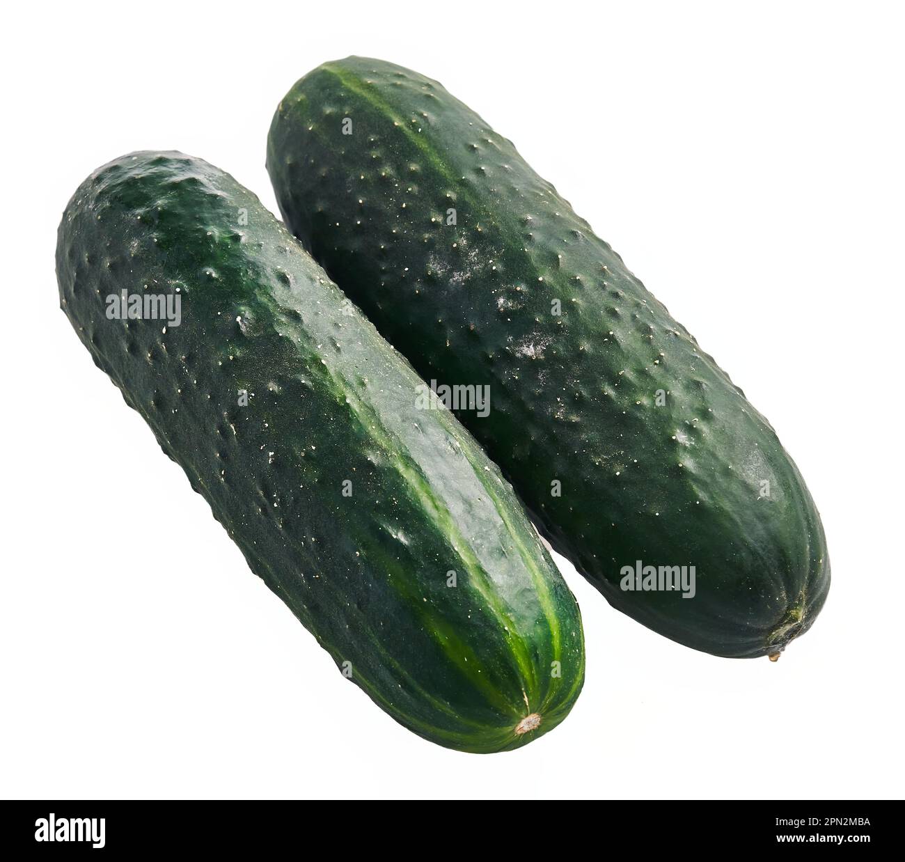 Delicious single cucumber over isolated white background Stock Photo ...