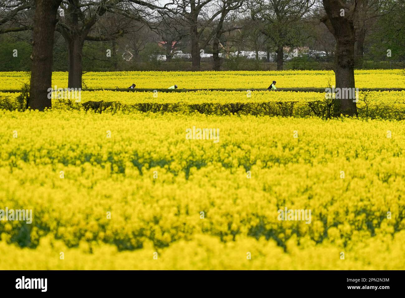 Wythall hi-res stock photography and images - Alamy