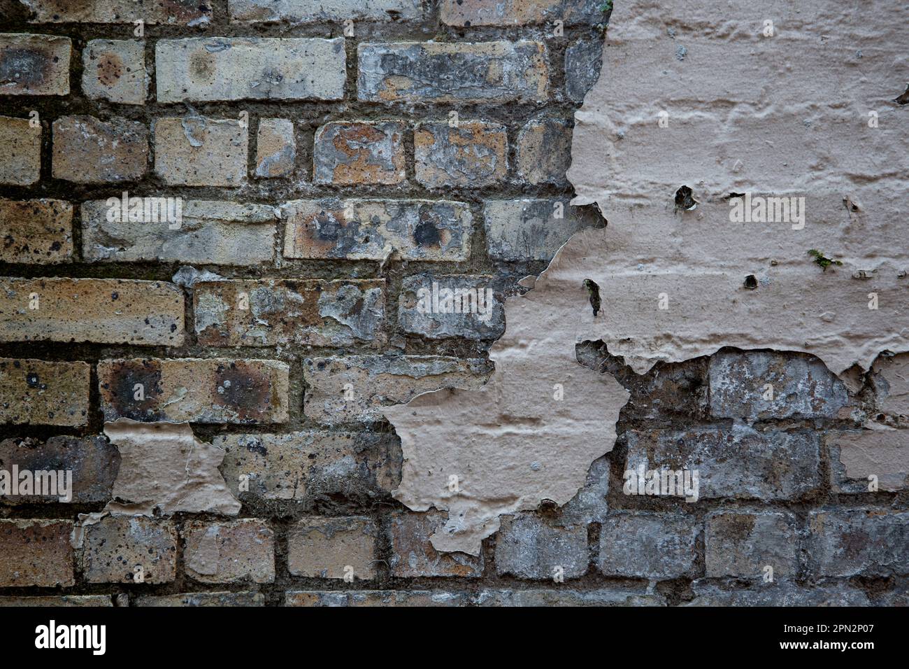 Old brick wall with flaking render coat close up view Stock Photo - Alamy