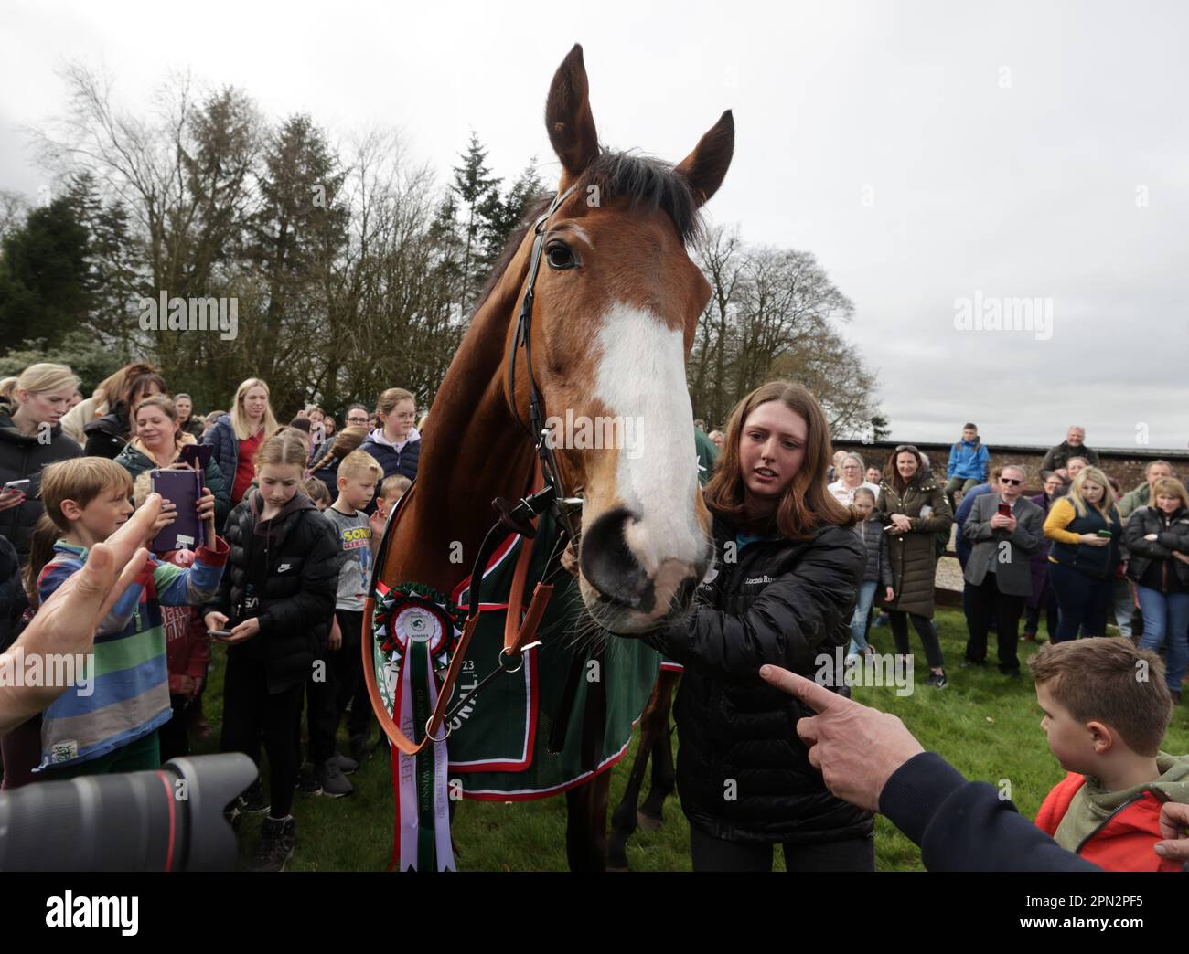 Corach Rambler during the Randox Grand National winners homecoming at ...