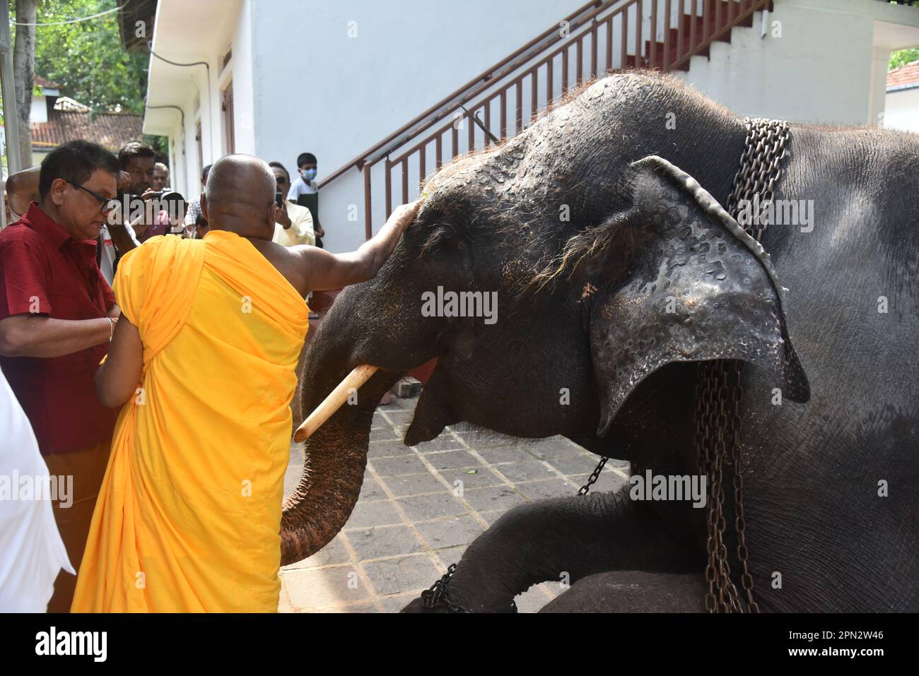 Colombo, Sri Lanka. 16th Apr, 2023. Kotte Rajamahavihara temple chief ...