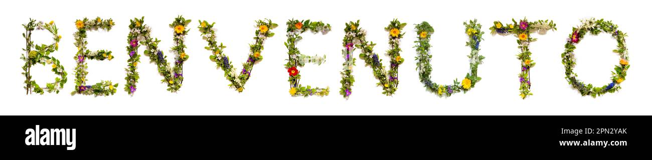 Colorful Flowers Building Word Benvenuto, Isolated Background Stock ...