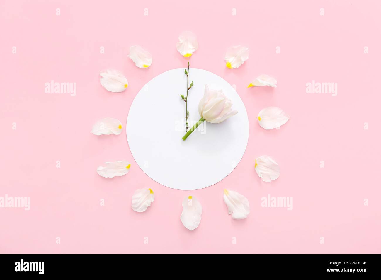 Clock made of paper and flowers on pink background Stock Photo - Alamy