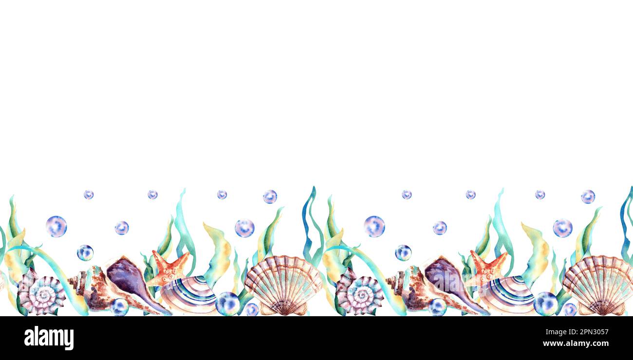 A border of marine animals. Seashells, starfish, seaweed, pearls ...