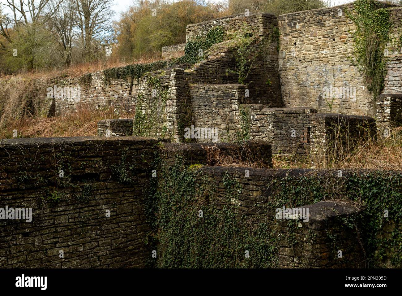 Darkhill Iron Works, the cradle of indistrial steel making, Forest of ...