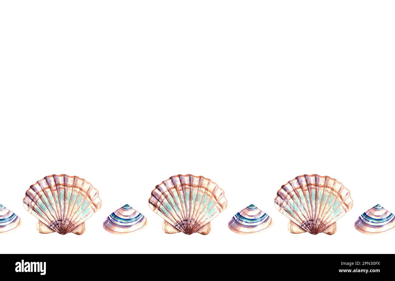 Seamless border made of marine animals, shells. Watercolor illustration ...
