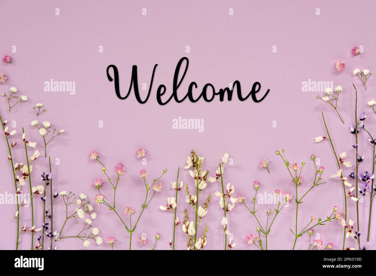 Purple Spring Flower Arrangement, English Text Welcome Stock Photo - Alamy
