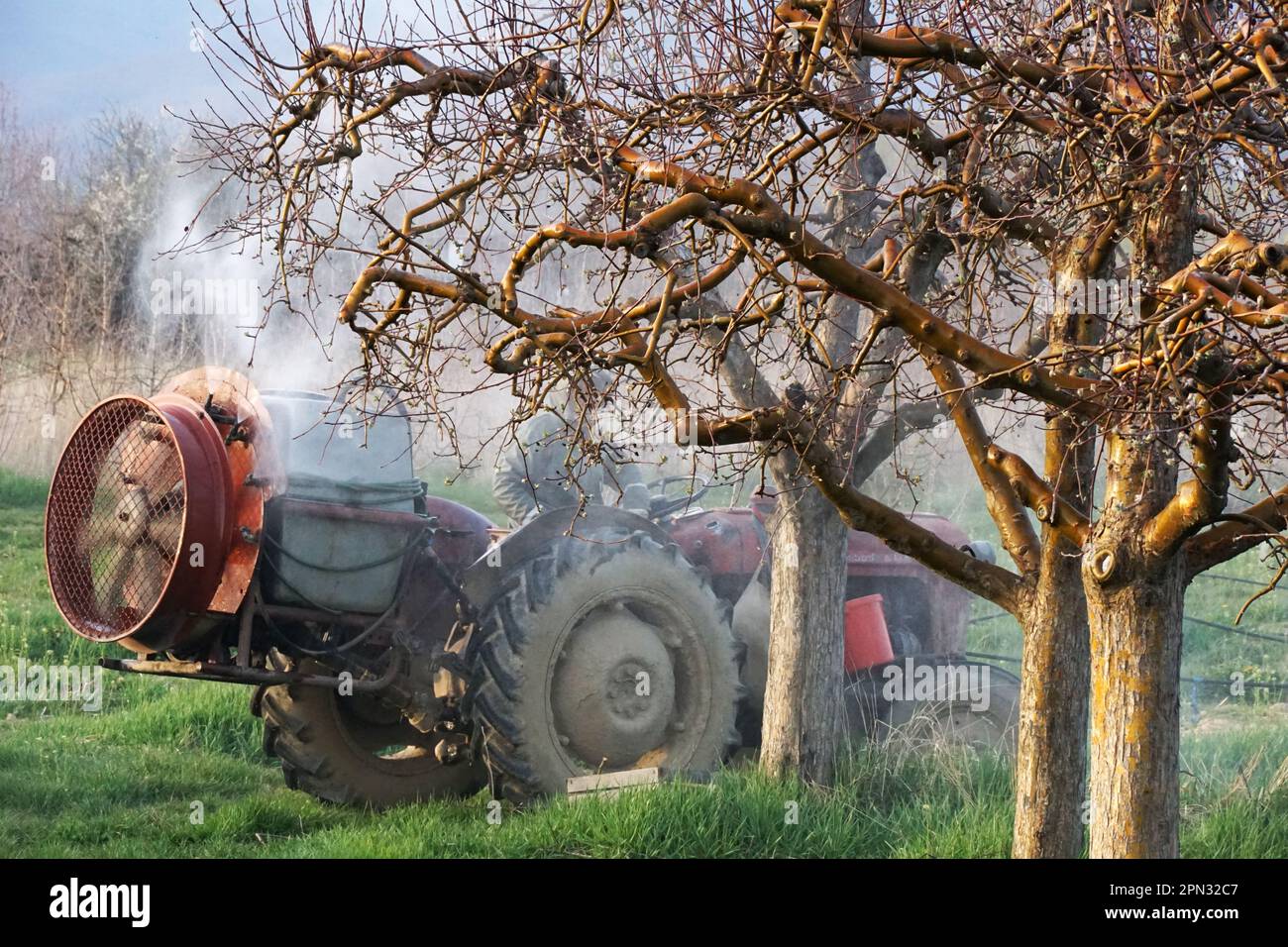 Tractor with atomizer sprayer spraying pesticides on apple trees in the ...