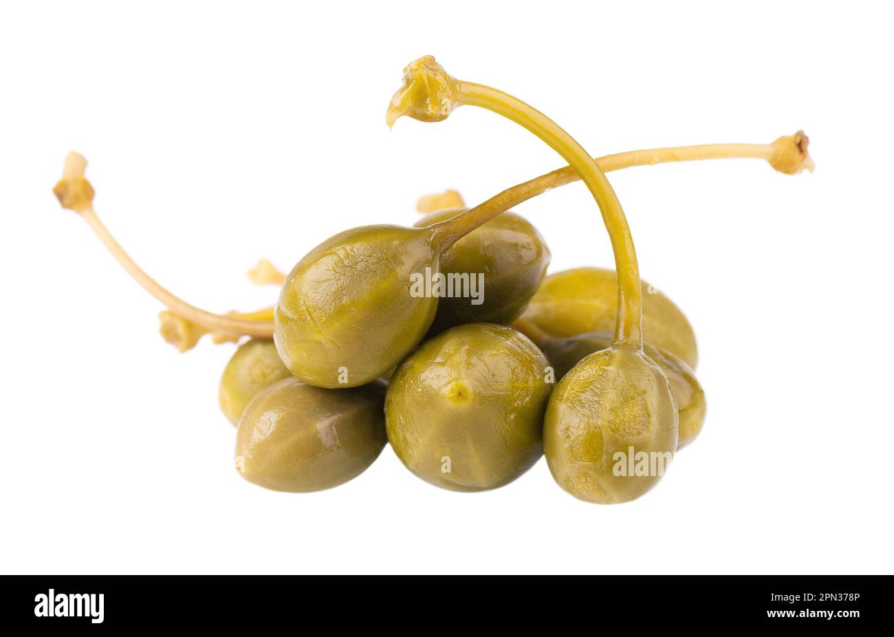 Capers isolated on white background. Pickled capers. Canned capers ...
