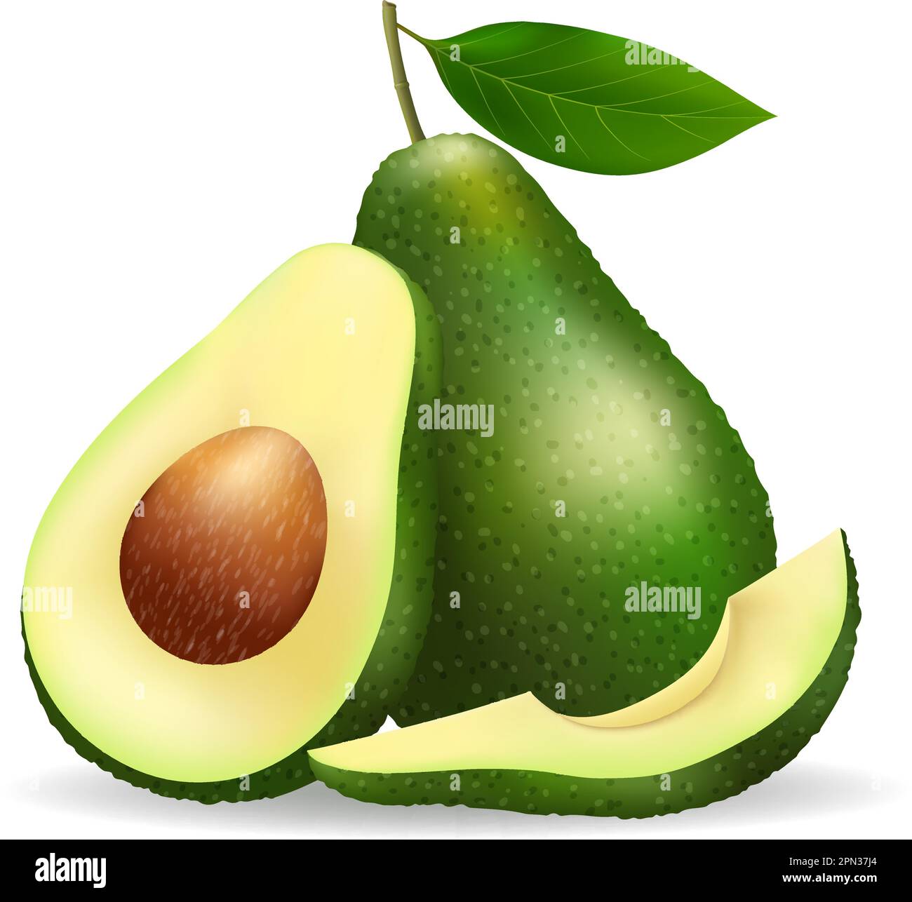 Avocado whole half pit Stock Vector Images - Alamy