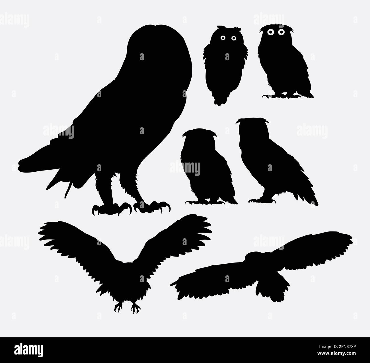 Owl flying silhouette hi-res stock photography and images - Alamy