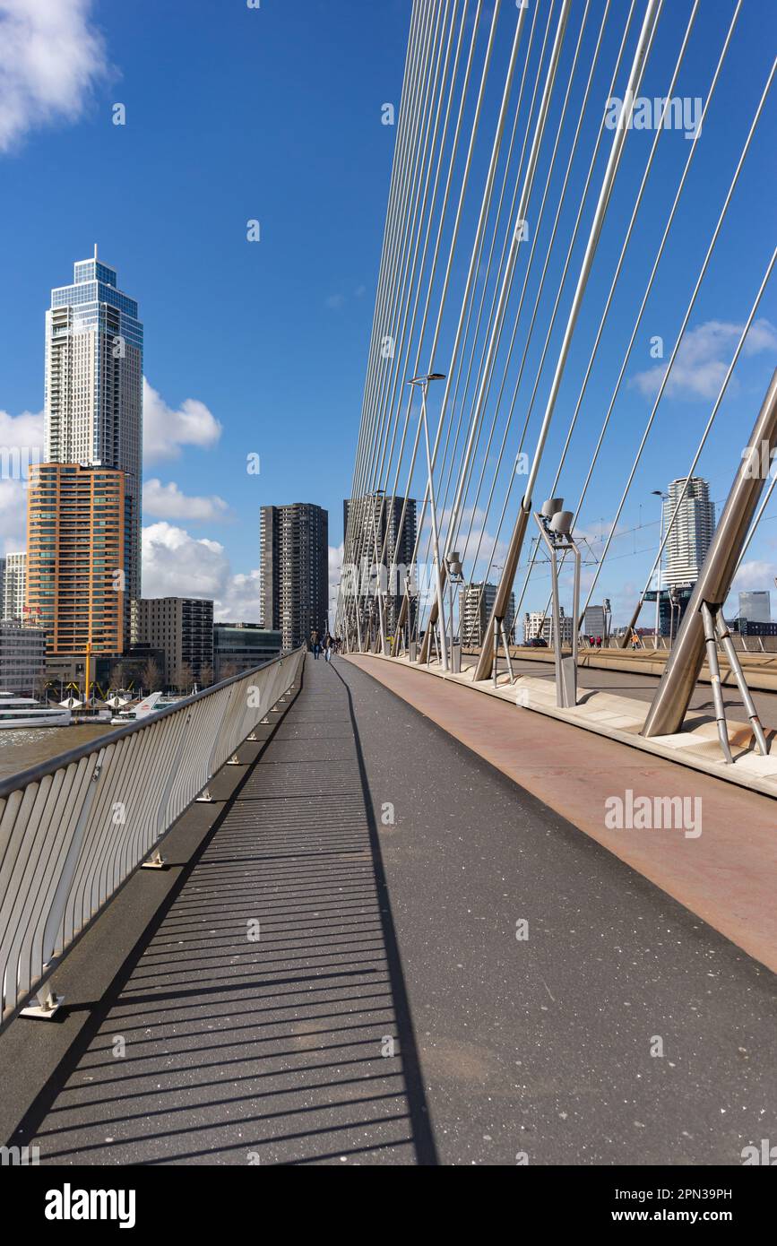 Rotterdam erasmus bridge harbour hi-res stock photography and images ...