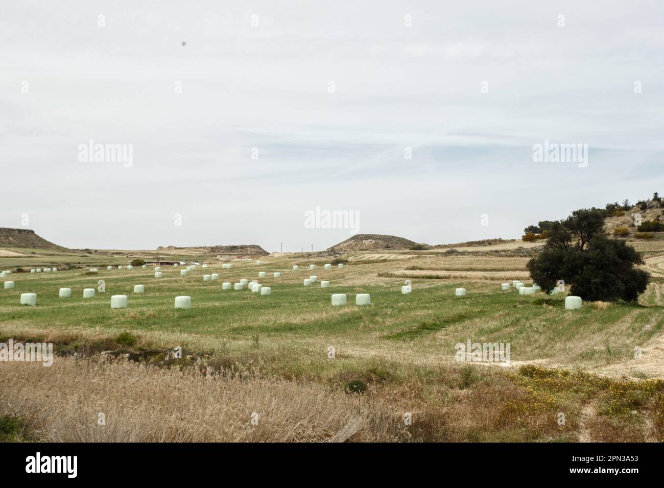 Tseri hi-res stock photography and images - Alamy