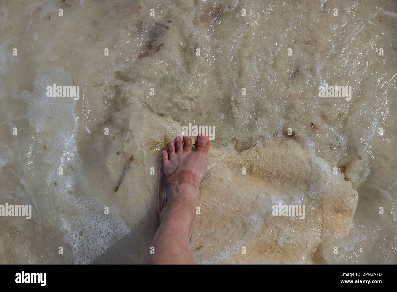 Close up view of feet with sunburn marks of man standing on sandy coast ...