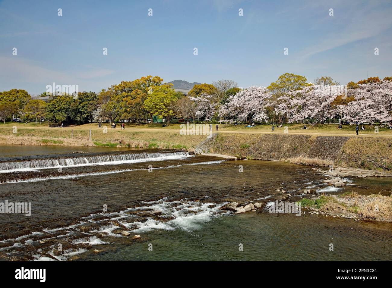 Kamogawa park hi-res stock photography and images - Alamy
