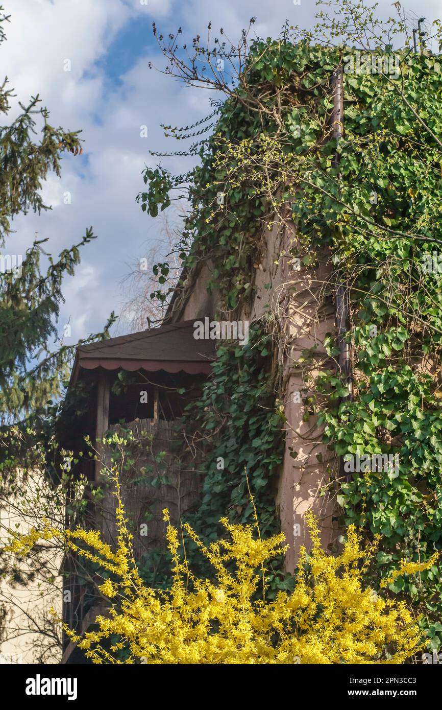 building exterior covered with vegetation Stock Photo - Alamy