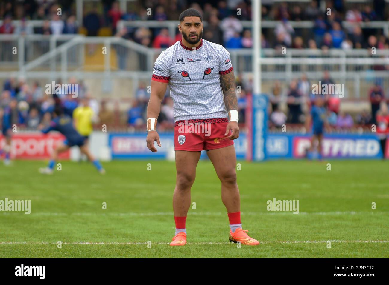 Ricky leutele leigh leopards 2023 hi-res stock photography and images ...