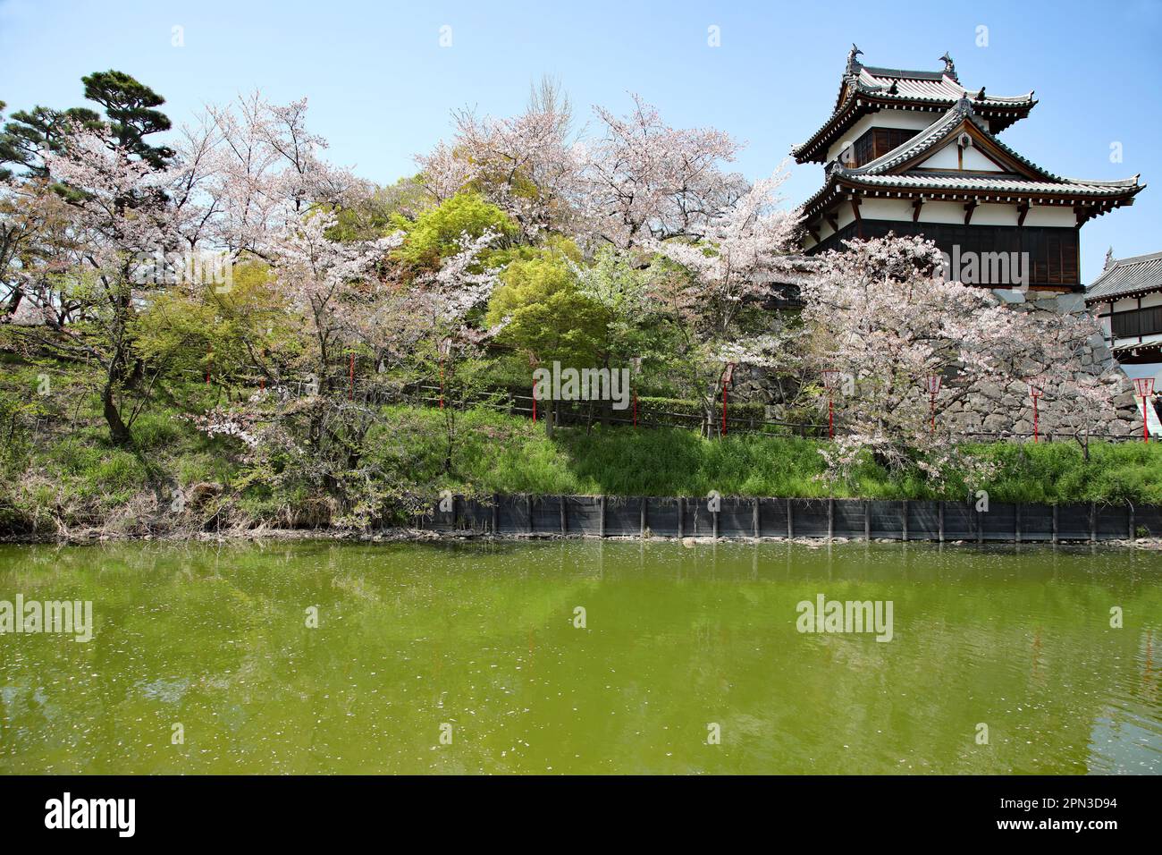 Koriyama Castle Ruins, Japan Stock Photo - Alamy