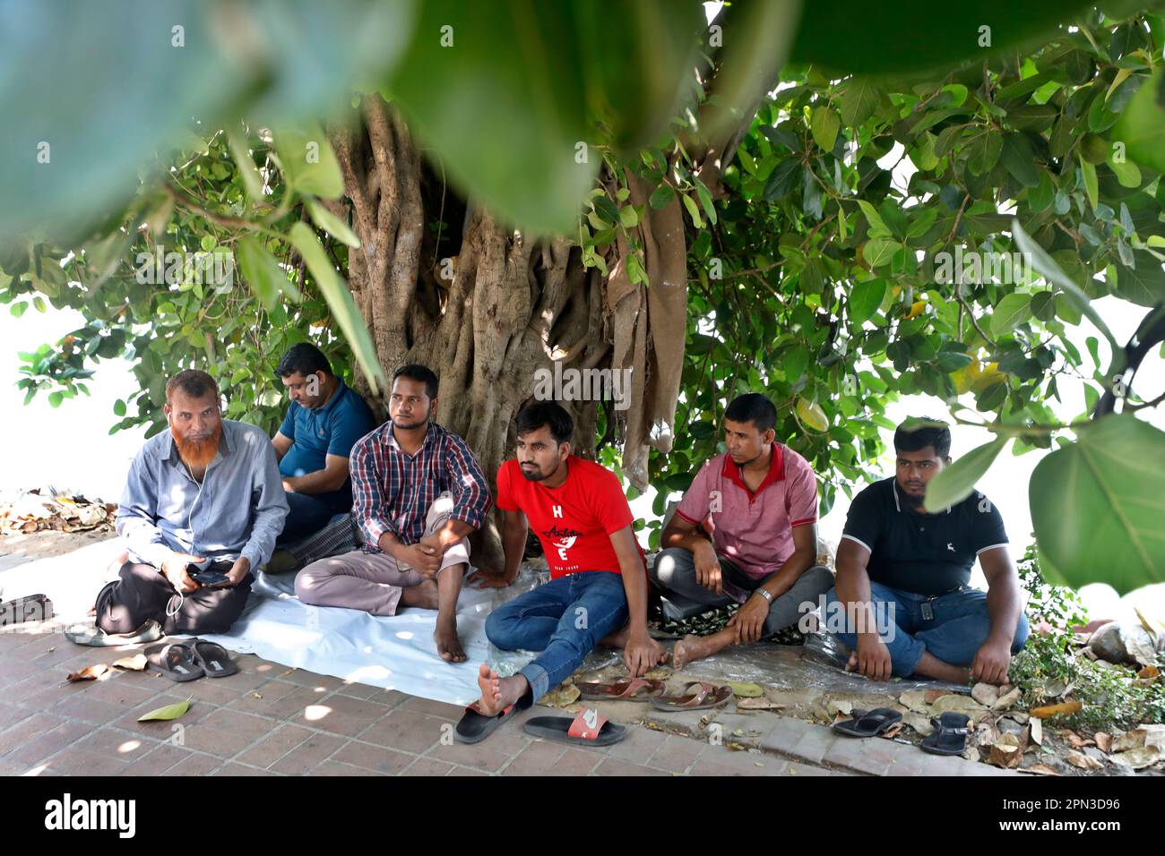 Dhaka, Bangladesh - April 16, 2023: Bangladeshi People are sitting in the shade of banyan trees ...