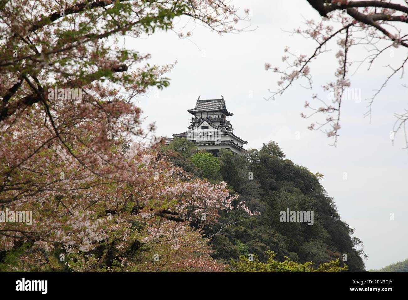 Inuyama Castle, Japan Stock Photo - Alamy