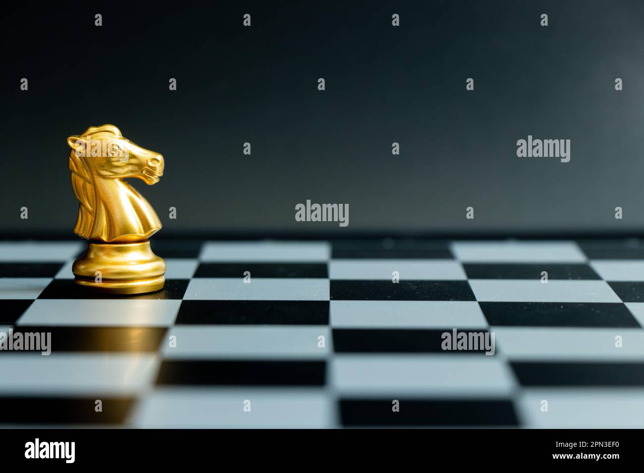 Gold knight chess piece stand on black background (Concept for ...