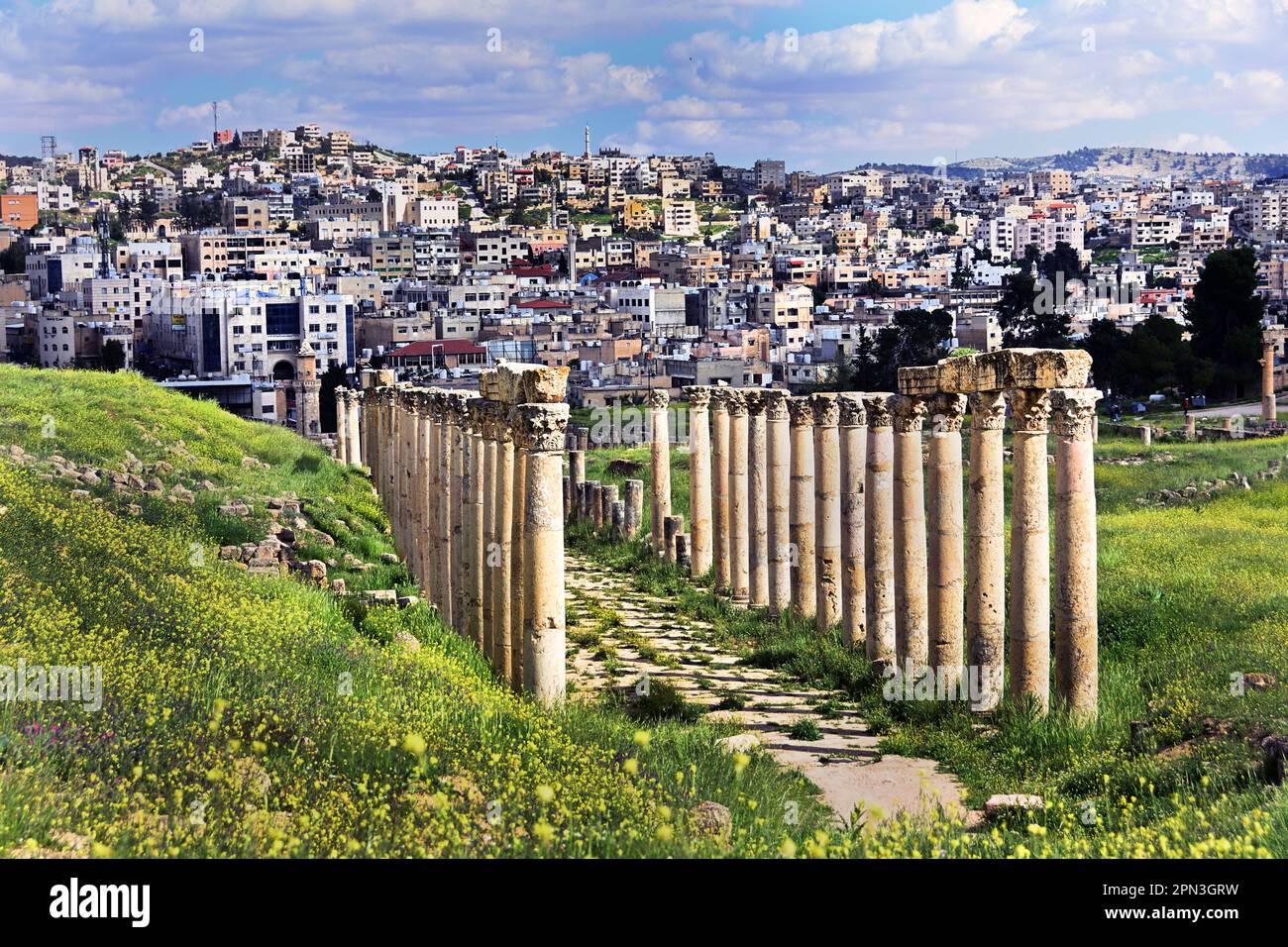 Cardo Maximus Columnade Roman ruins, Jerash, Jordan, ancient city ...