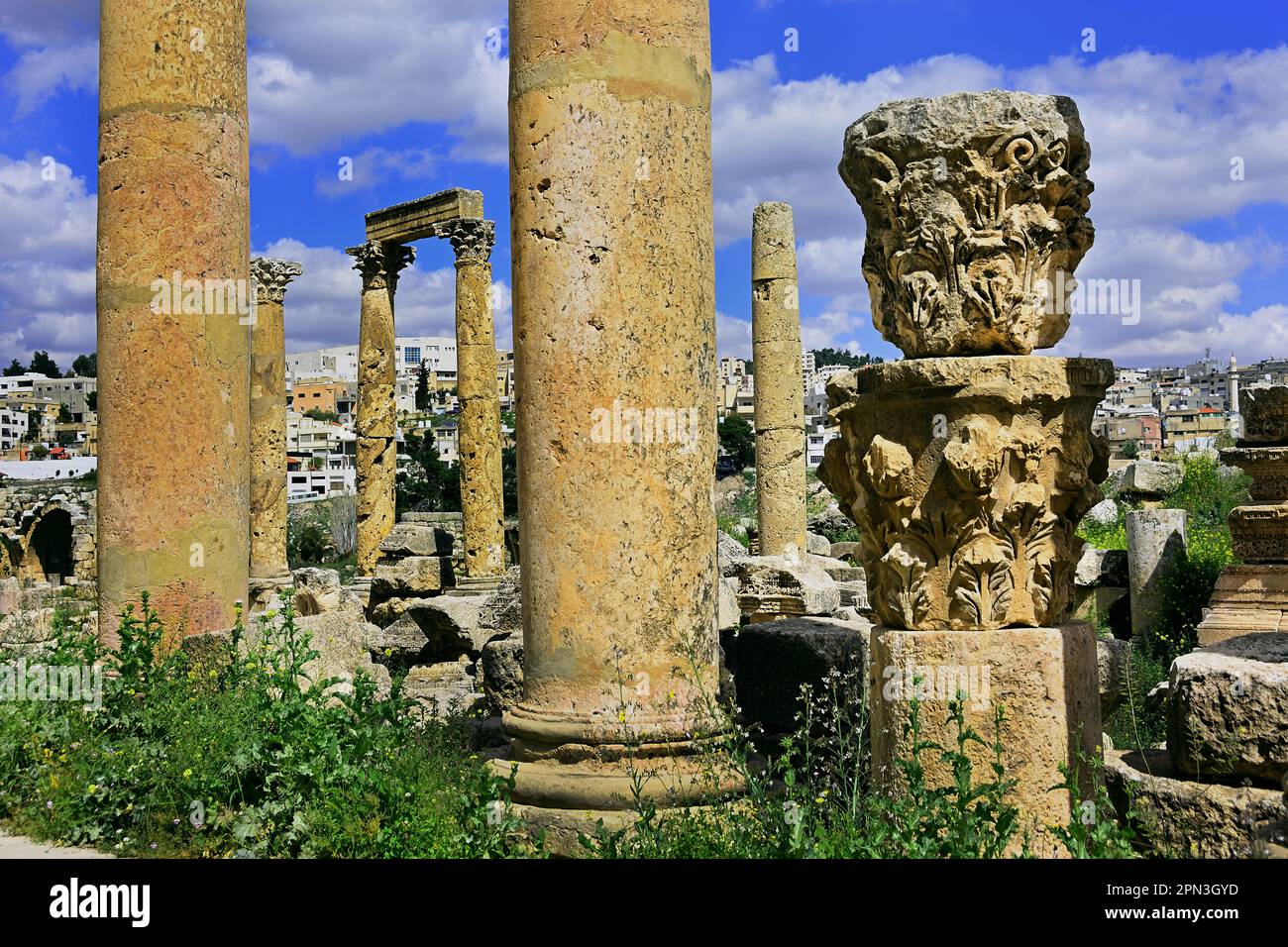 Cardo Maximus Columnade Roman ruins, Jerash, Jordan, ancient city ...
