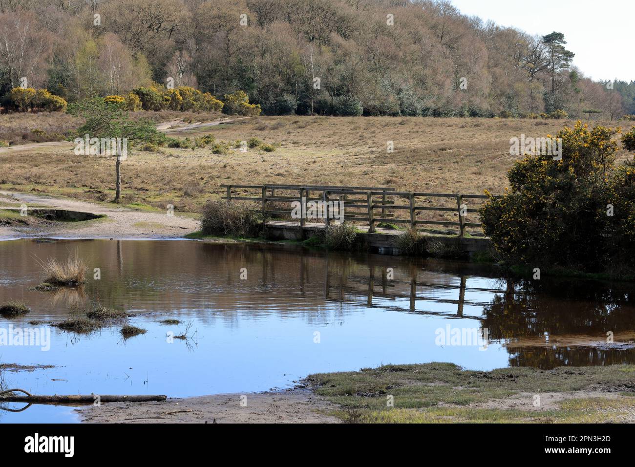 Views overlooking a lake and a wooden bridge at Dibden Inclosure in the ...