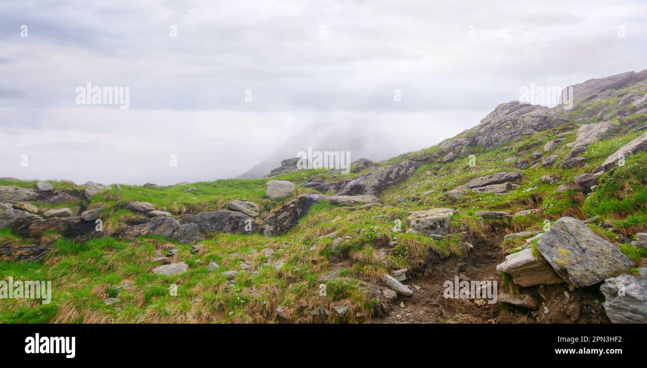 nature landscape on a foggy day. mountainous scenery in summer ...