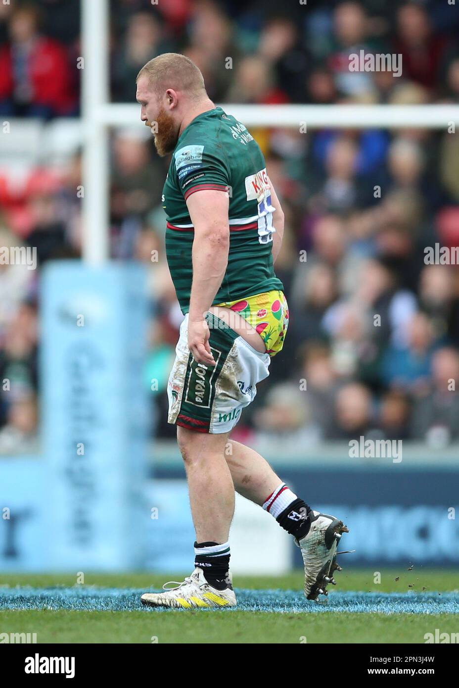 Leicester Tigers’ Tom West seen following a scrum during the Gallagher ...