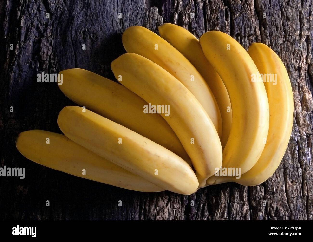 The name “dwarf” is due to the size of the banana tree. Originally from ...