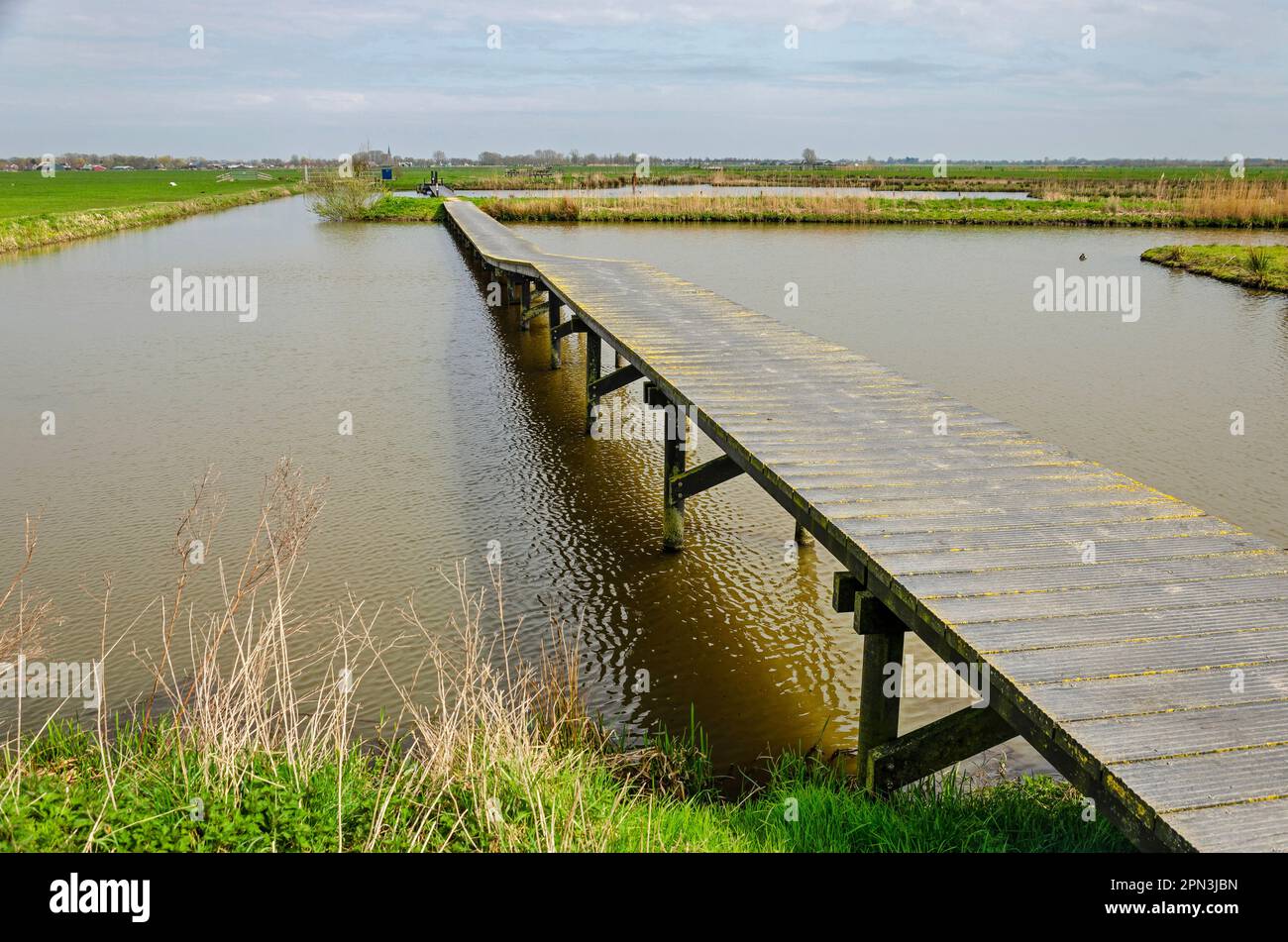 Long wooden walkbridge without railing across a small lake in a polder ...