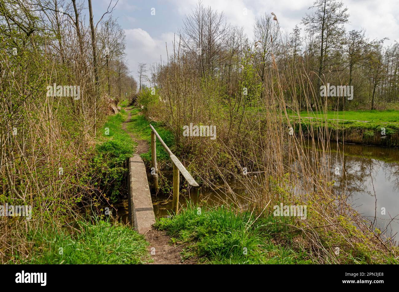 Very simple wooden bridge across a ditch as part of a hiking tral ...
