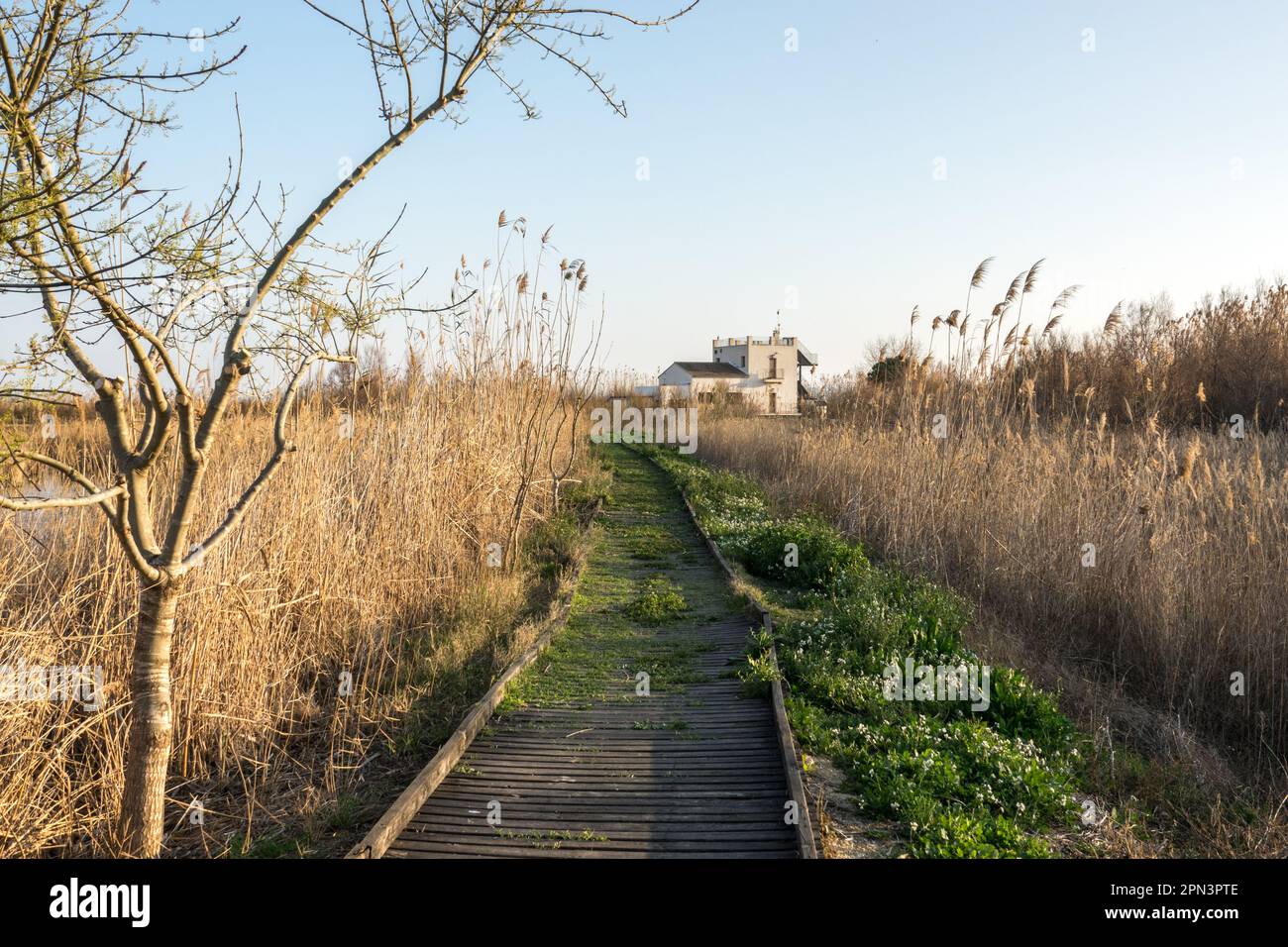 Tancat de la Pipa Albufera Valencia, touristic ride. old rice field ...