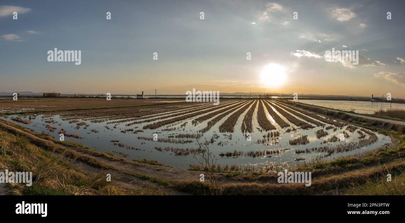 Flooded rice paddy and traditional Mediterranean farm house, gigapan ...