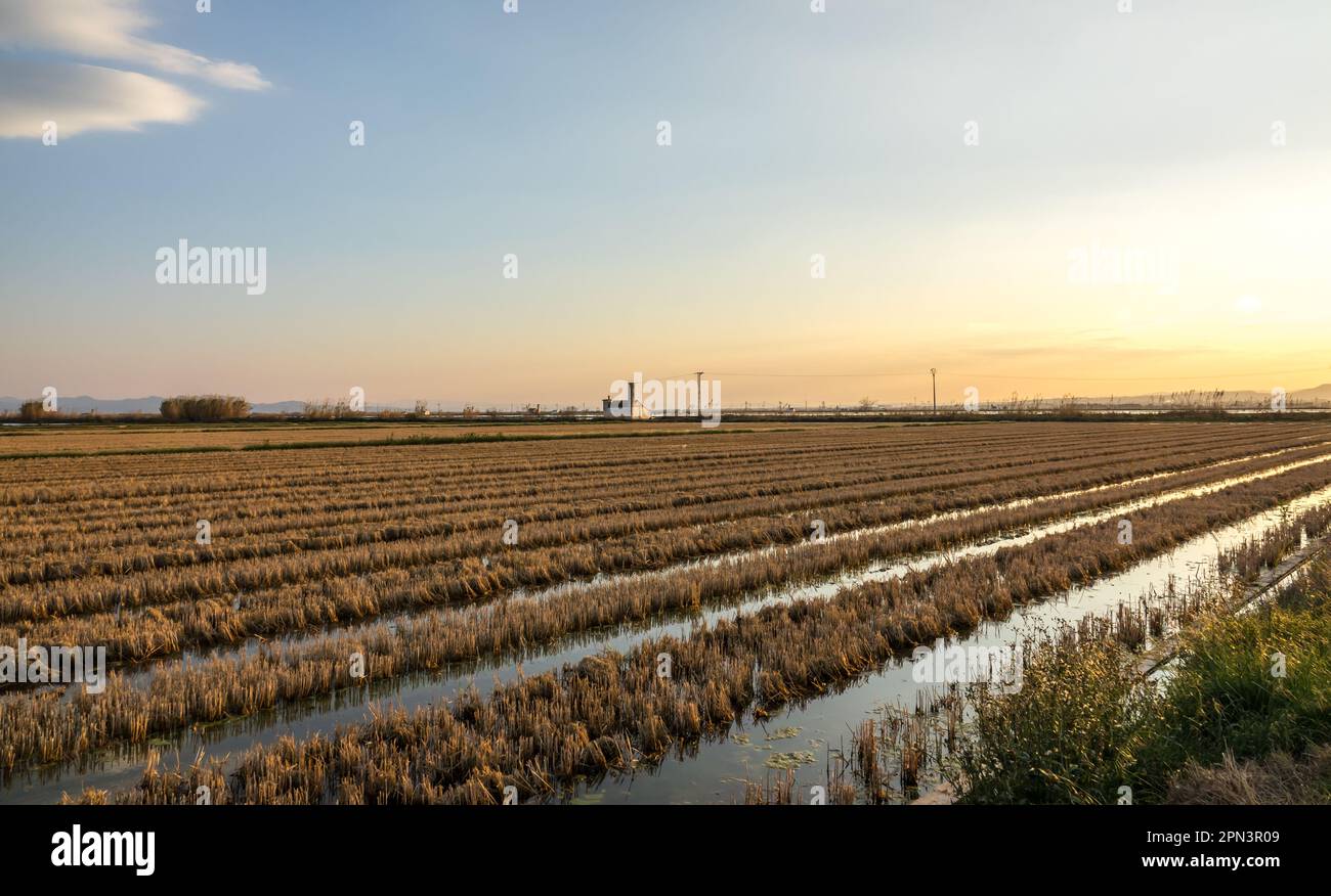Albufera traditional house hi-res stock photography and images - Alamy