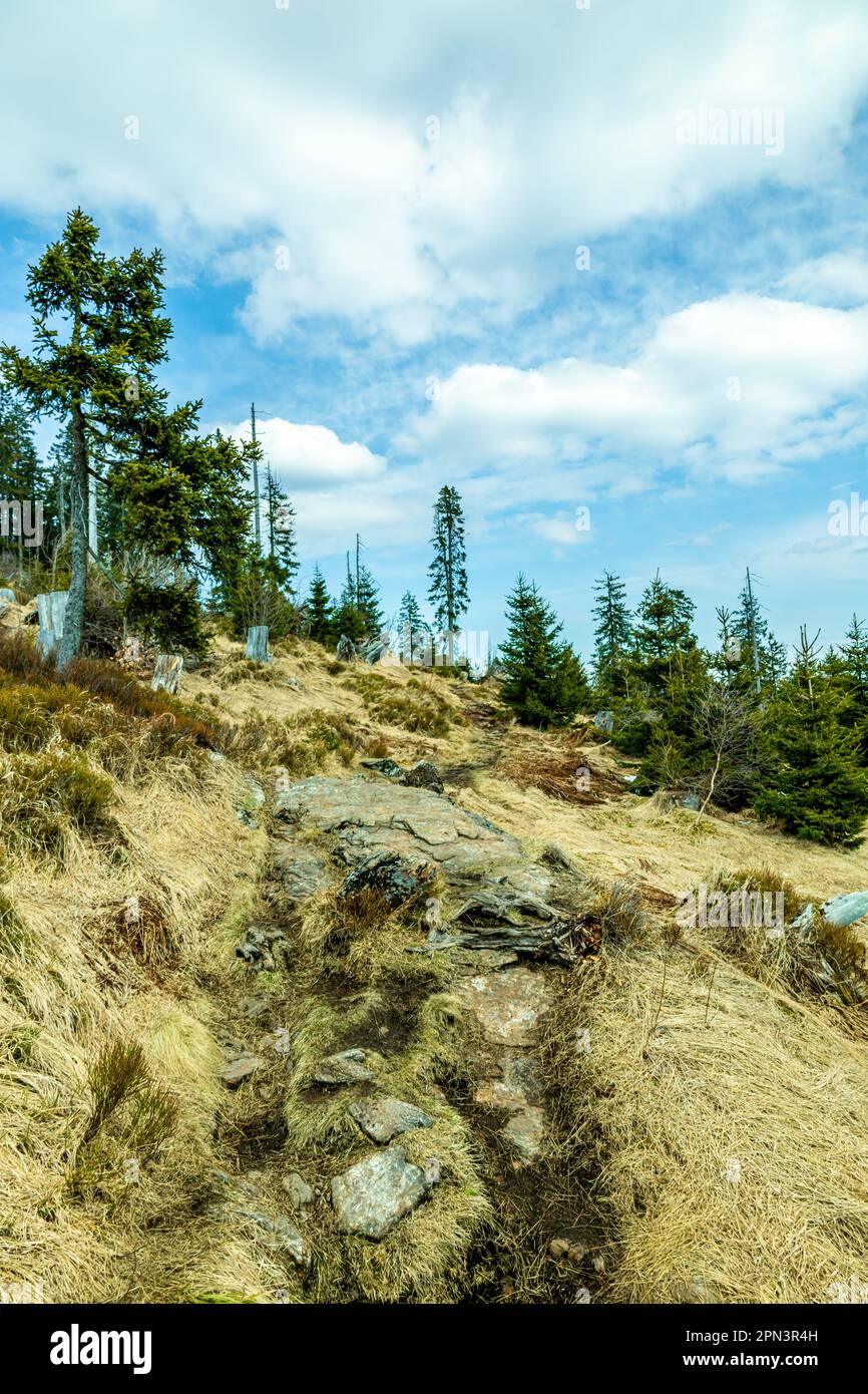 Spring hike in the Bavarian Forest from the Großer Arbersee to the ...