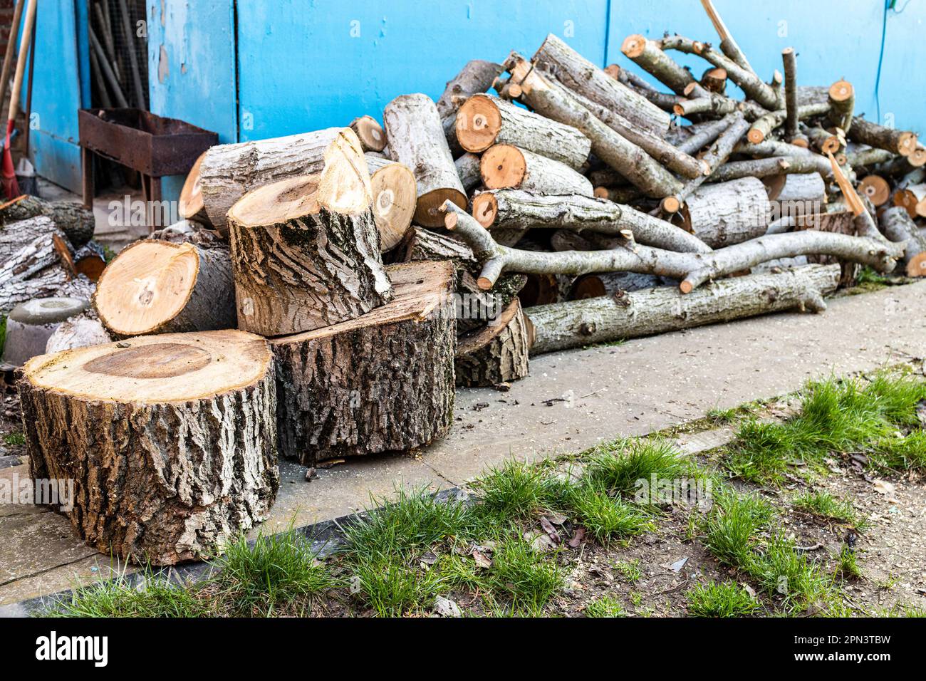 Wood branch chunk hi-res stock photography and images - Alamy