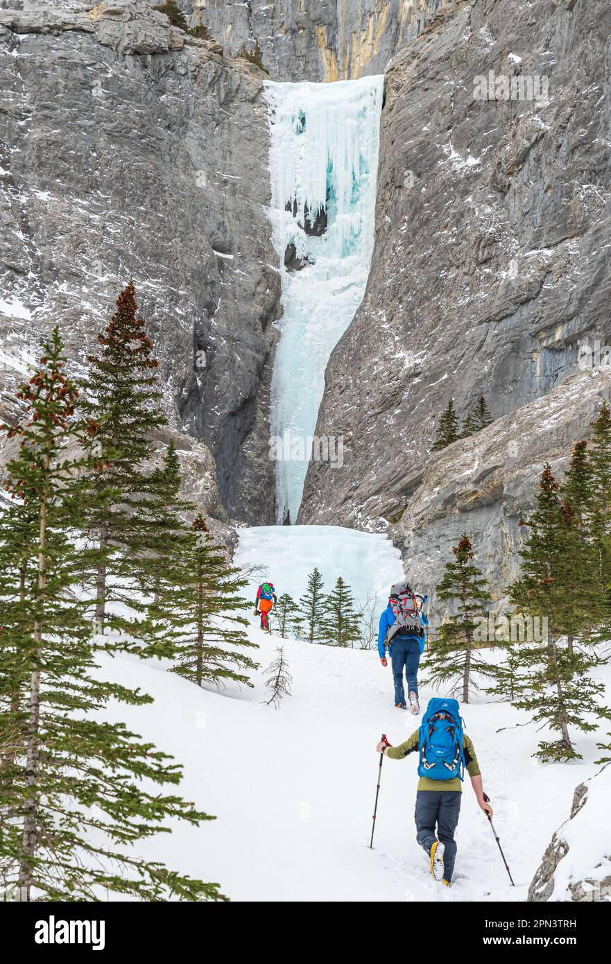 Wicked wanda hi-res stock photography and images - Alamy