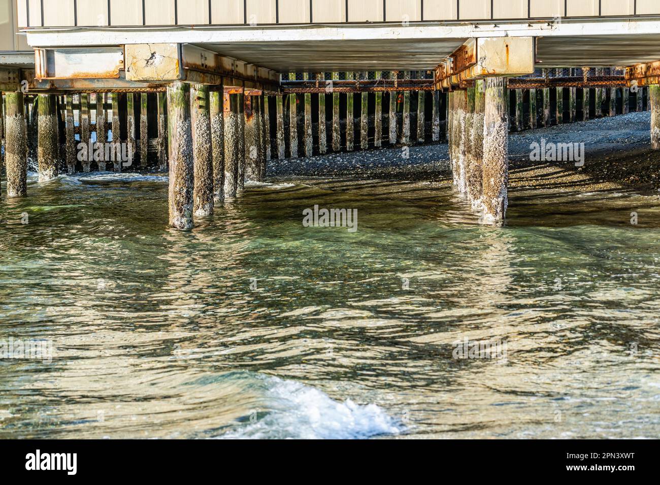 A view of pier piling in Redondo Beach, Washington. Tide is low Stock ...