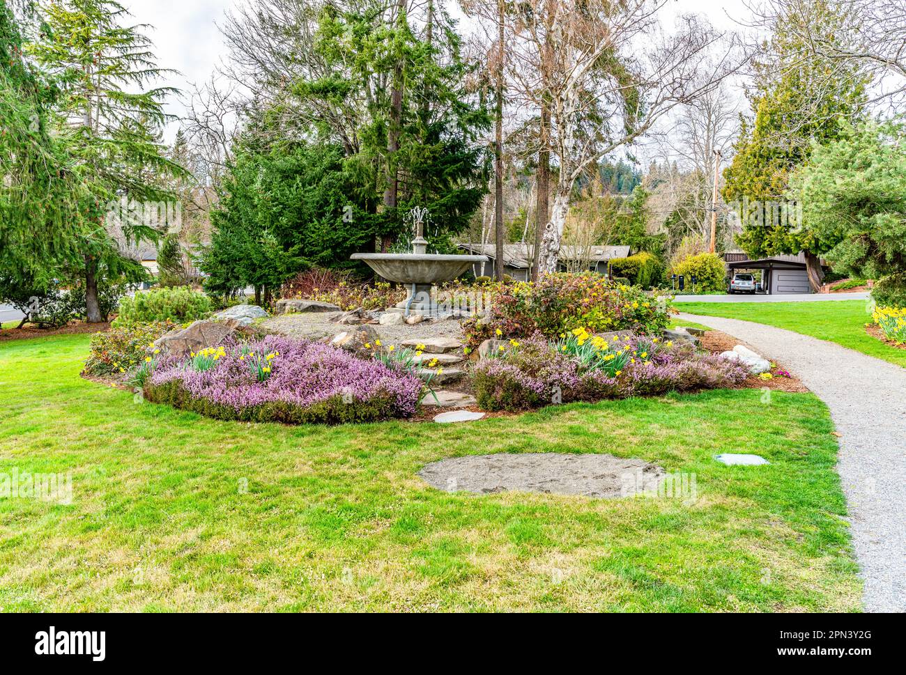 A gardn park in Normandy Park, Washington. Spring flowers are in bloom ...